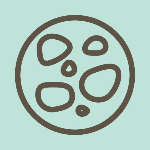 New Halon Security Firewall Appliance Includes Native IPv6 Support ...